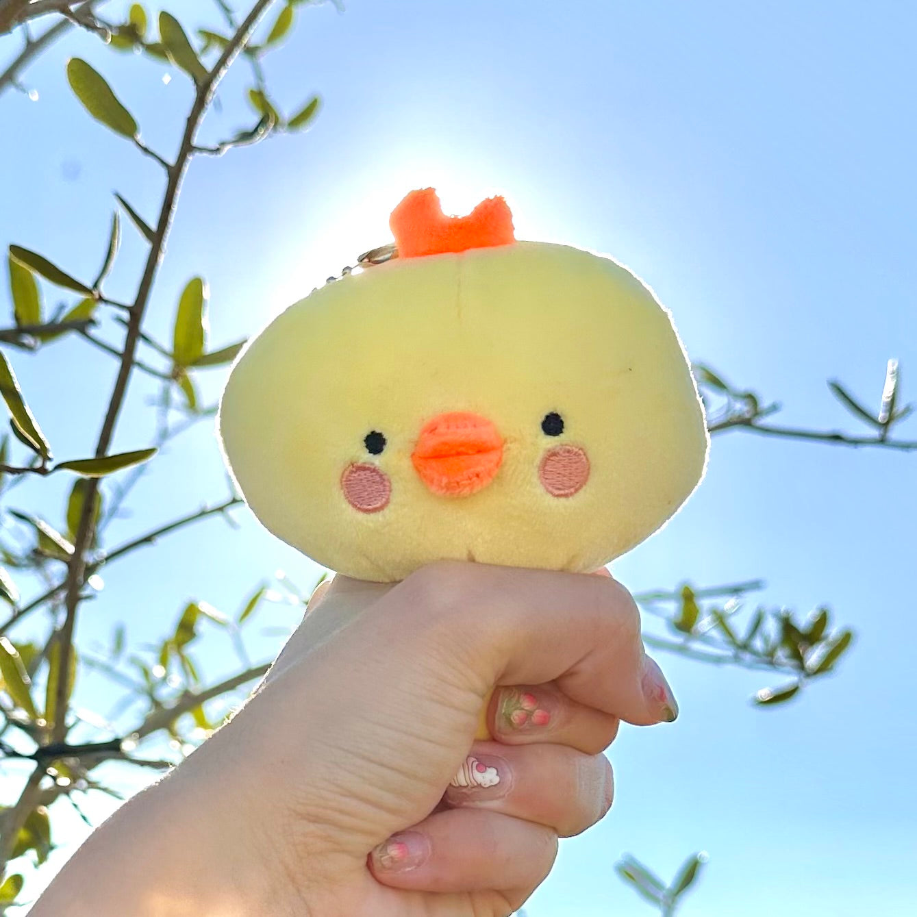 La Pipa! – Micashi Store